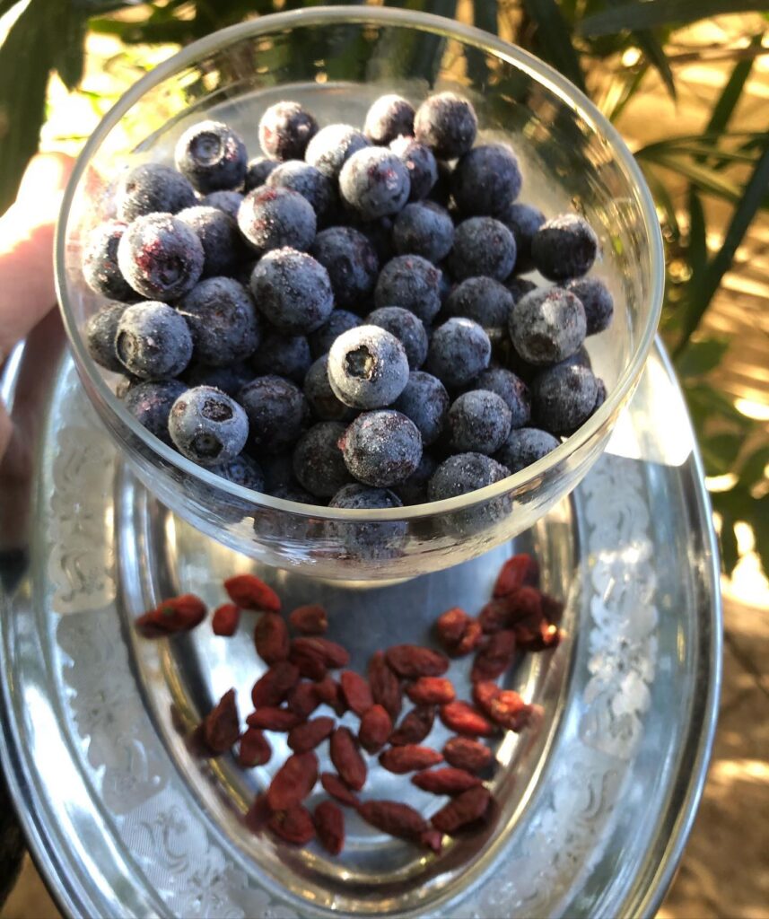 Mirtilo, um superalimento que previne várias doenças – Grão Natural